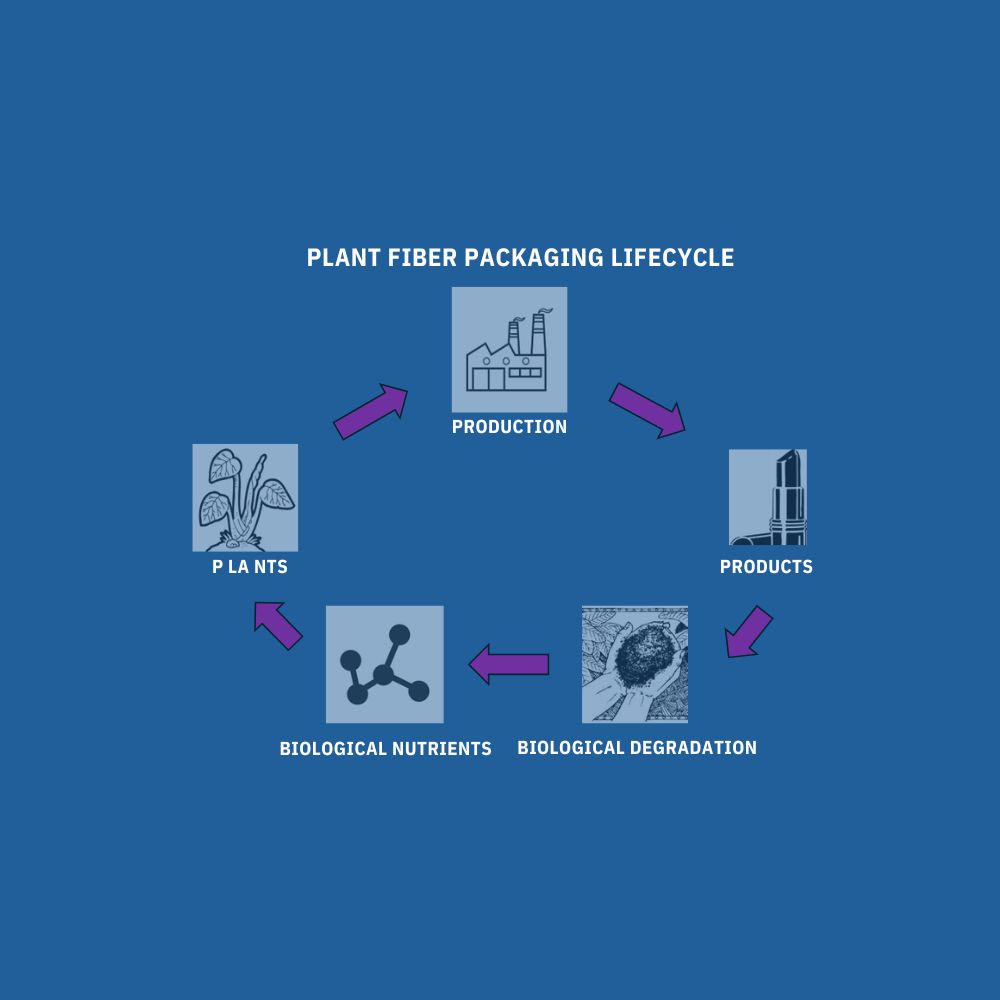 OUR PROPRIETARY PLANT-BASED MATERIAL | BLUE SEA PACKAGING – Blue Sea ...
